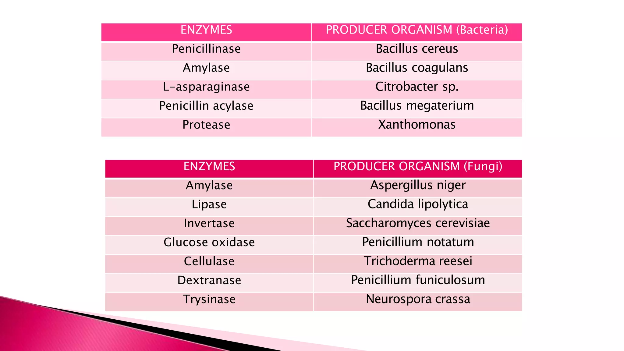 Enzyme Production.pptx
