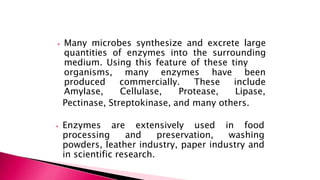Enzyme Production.pptx