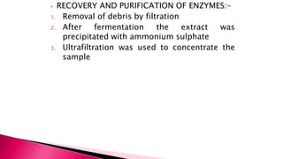 Enzyme Production.pptx