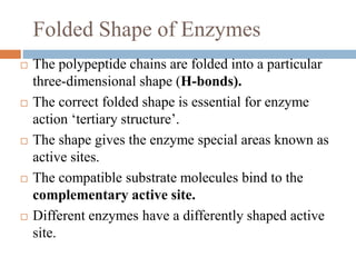 Enzyme production by biotechnology | PPTX