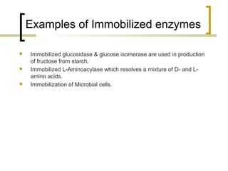 immobilized Enzyme reactors- batch and continuous types. | PPT