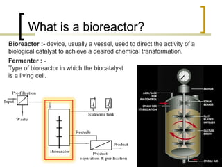 immobilized Enzyme reactors- batch and continuous types. | PPT