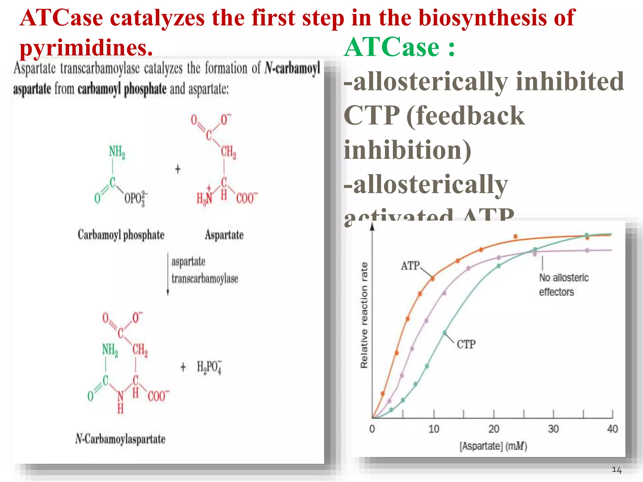 Enzyme regulation | PPTX