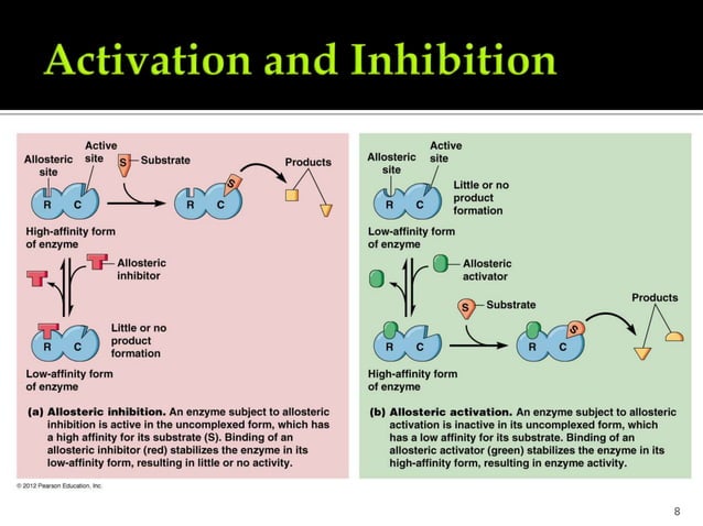 Enzyme regulation | PPTX | Chemistry | Science