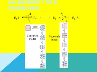 Enzyme regulation | PPT