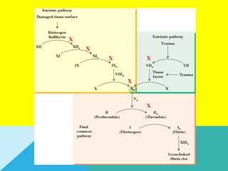 Enzyme regulation | PPT