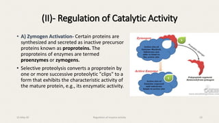 Enzyme regulation | PDF
