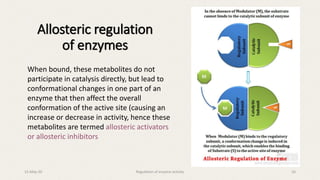Enzyme regulation | PDF