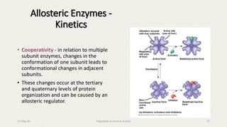 Enzyme regulation | PDF
