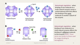 Enzyme regulation | PDF