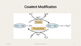 Enzyme regulation | PDF