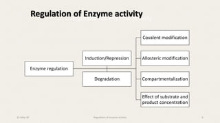Enzyme regulation | PDF