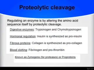 Enzyme regulation | PPT