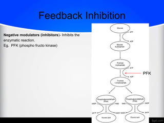 Enzyme regulation | PPT