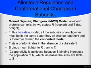 Enzyme regulation | PPT