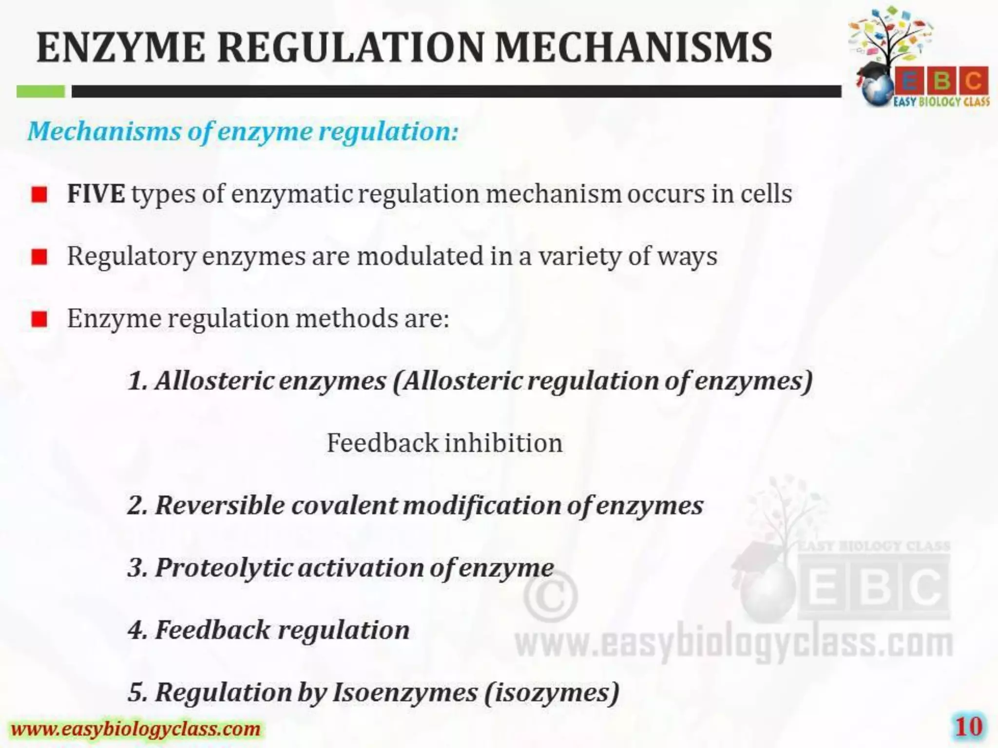 Enzyme regulation.pdf
