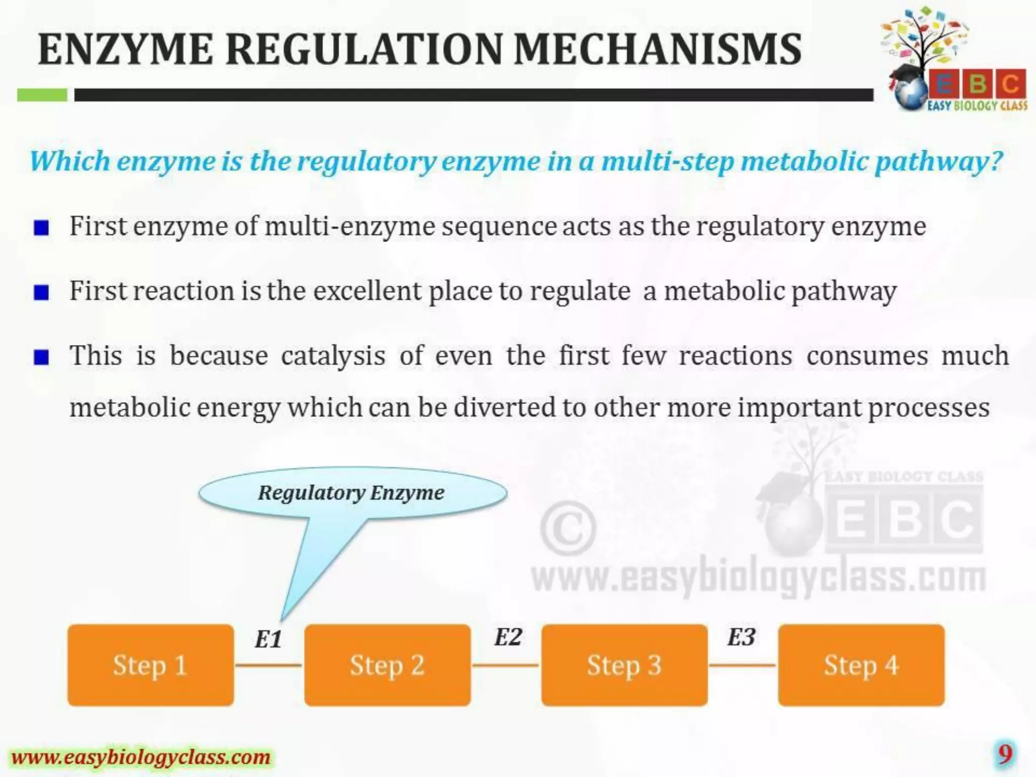 Enzyme regulation.pdf