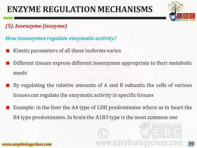 Enzyme regulation.pdf