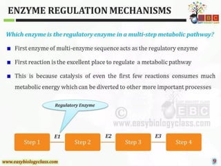 Enzyme regulation.pdf