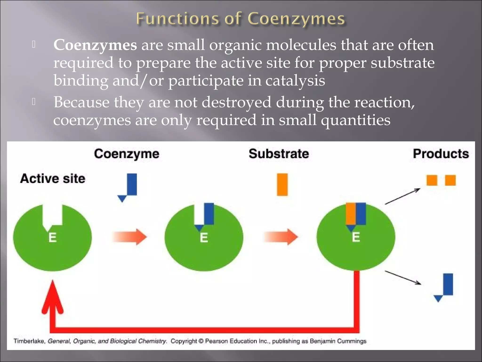 Enzyme regulation zymogen | PPT