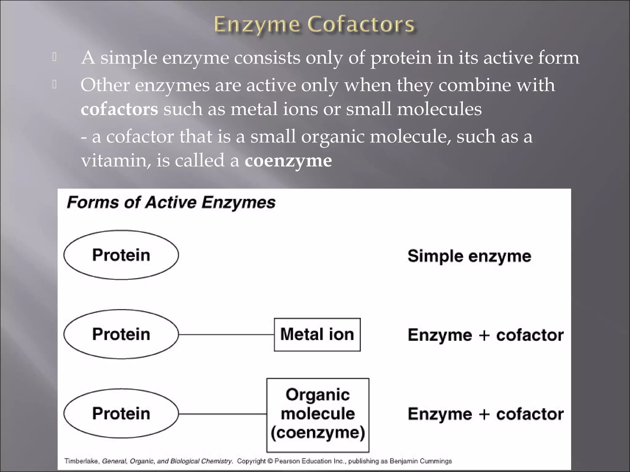 Enzyme regulation zymogen | PPT