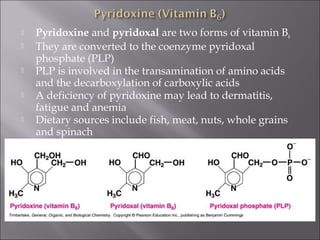 Enzyme regulation zymogen | PPT