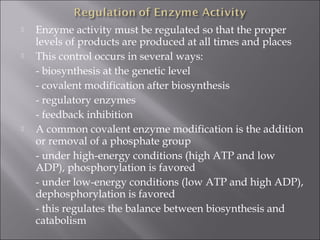 Enzyme regulation zymogen | PPT