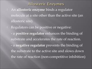 Enzyme regulation zymogen | PPT