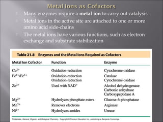 Enzyme regulation zymogen | PPT