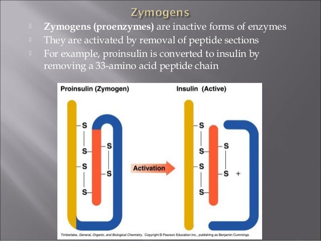 Enzyme regulation zymogen