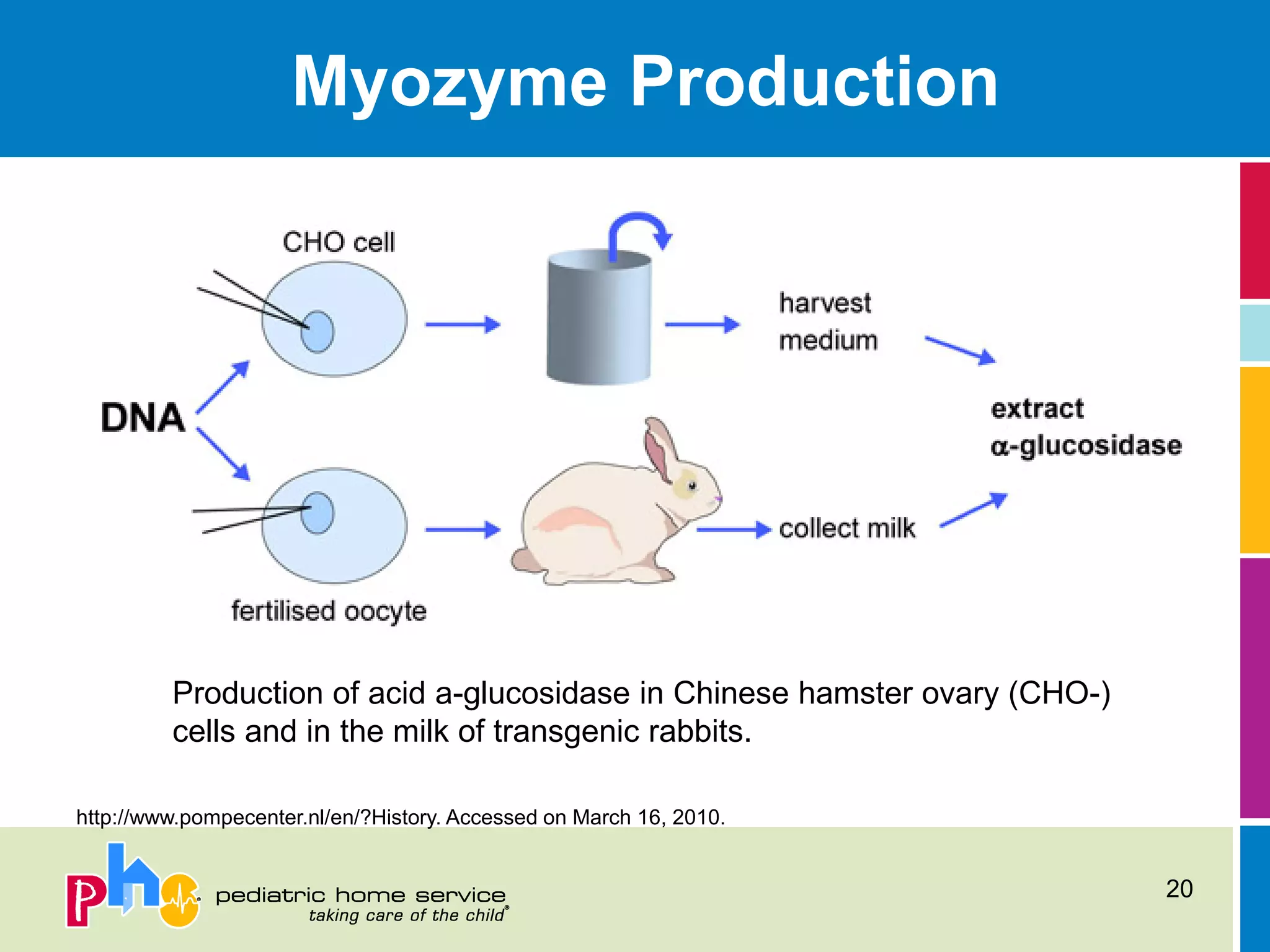 Enzyme Replacement Therapy for Lysosomal Storage Diseases | PDF