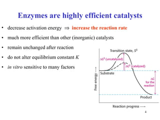 Enzymes 1 | PPT