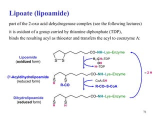Enzymes 1 | PPT