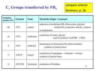 Enzymes 1 | PPT