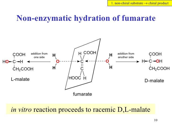 Enzymes 1