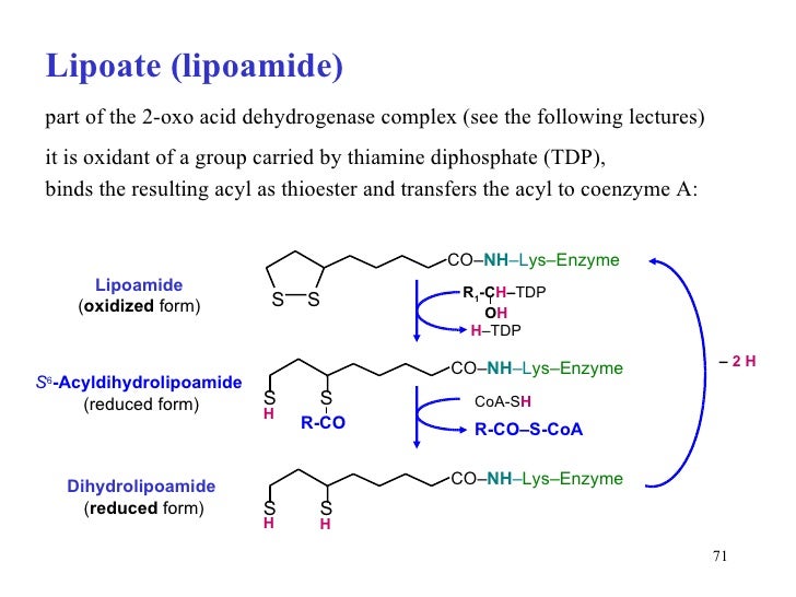 Enzymes 1