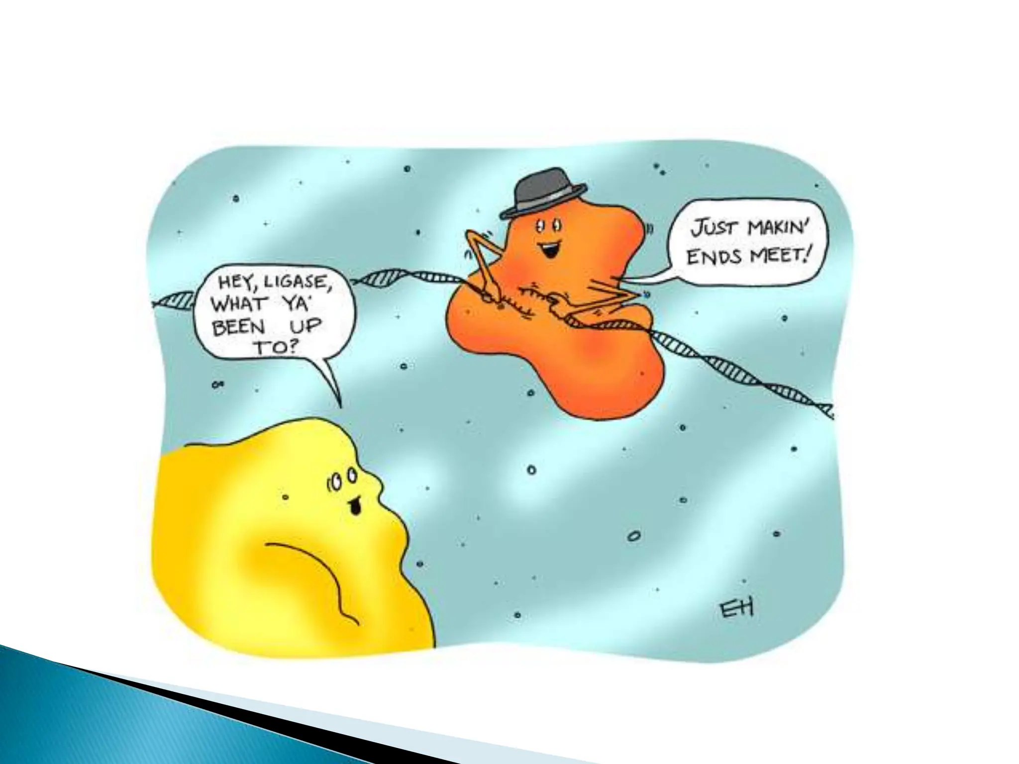 ENZYMES -enzymes biochemistry.slideshare.pptx