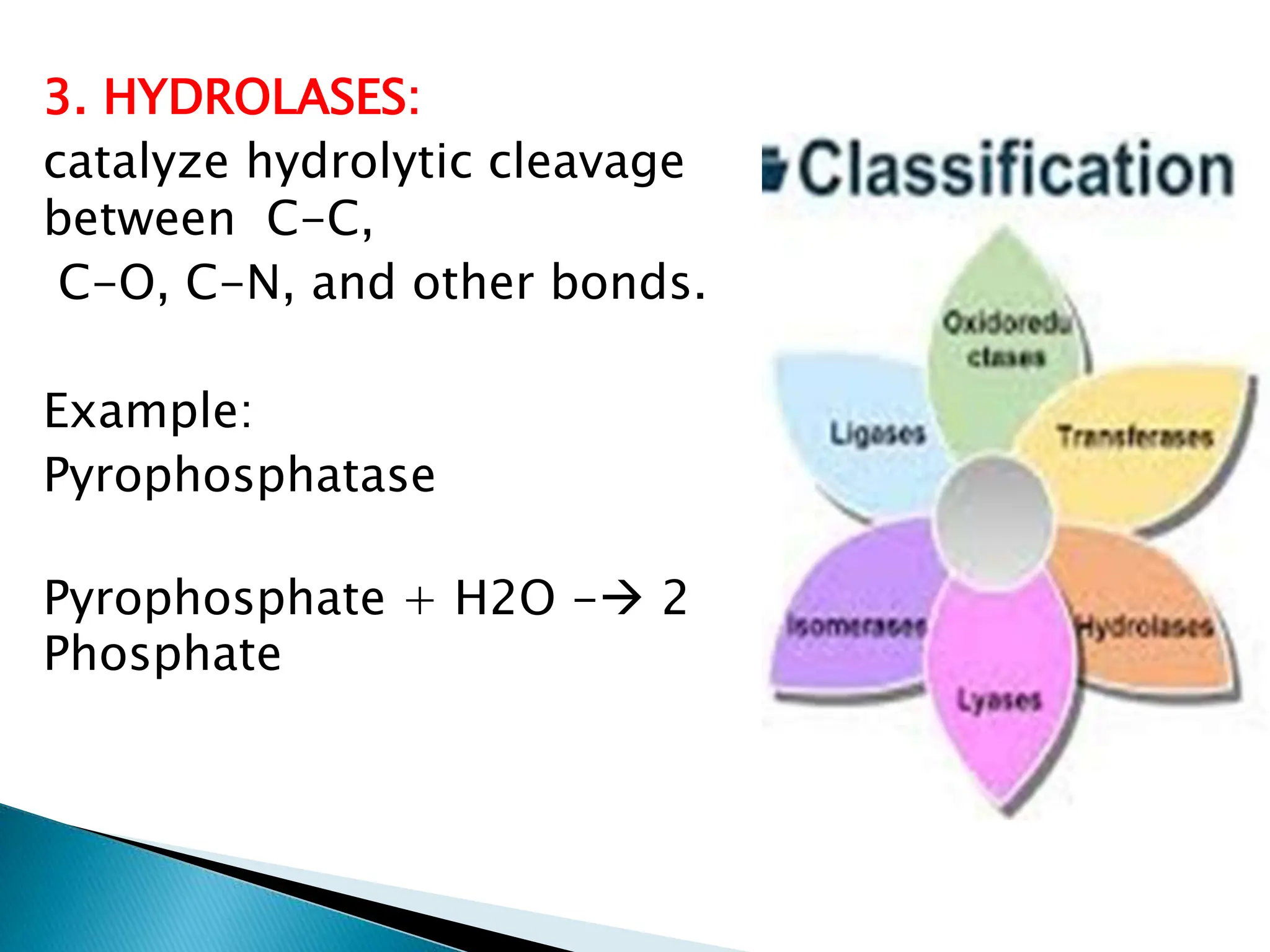 ENZYMES -enzymes biochemistry.slideshare.pptx