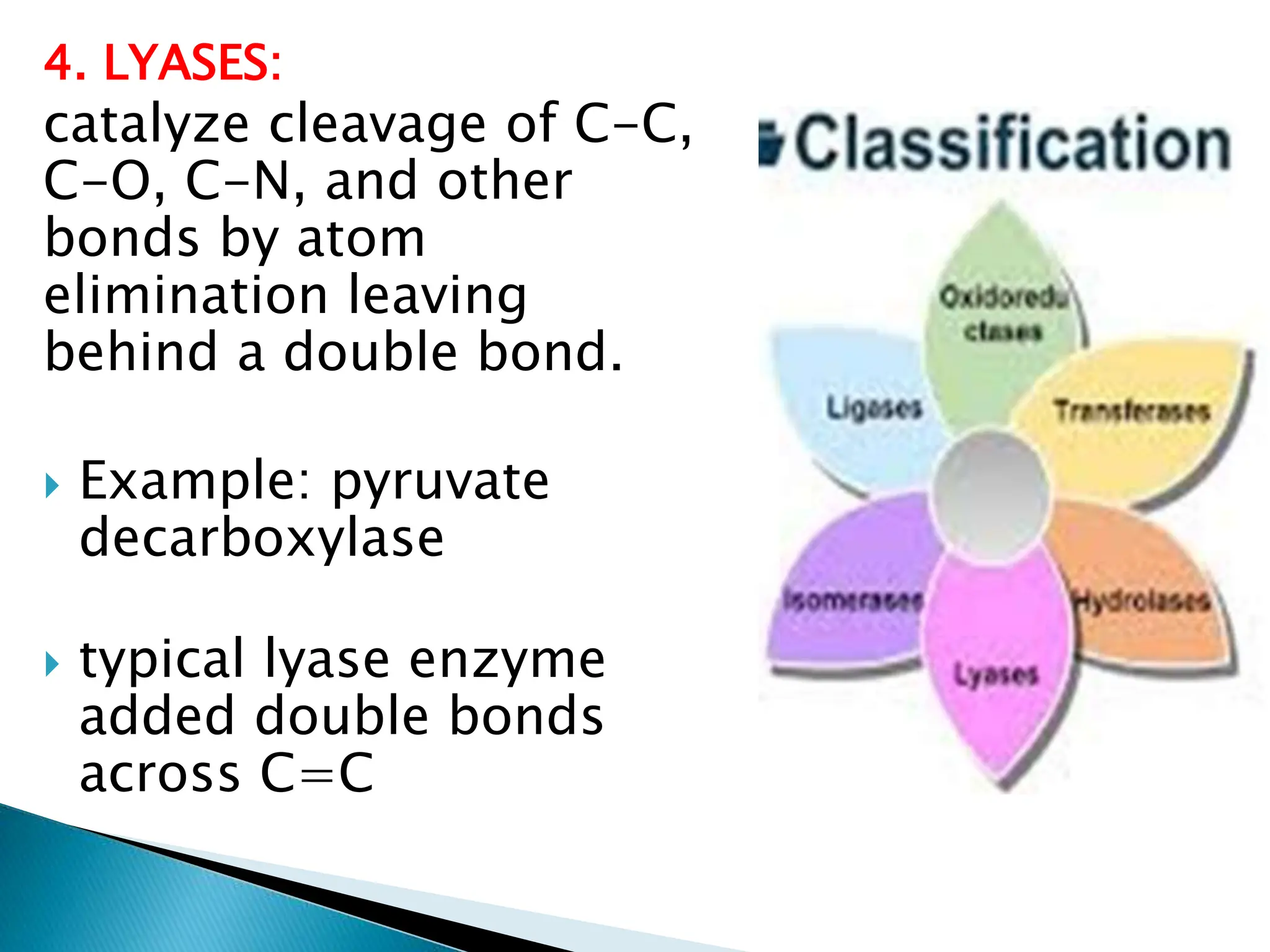 ENZYMES -enzymes biochemistry.slideshare.pptx