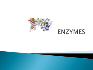 ENZYMES -enzymes biochemistry.slideshare.pptx