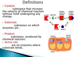 ENZYMES -enzymes biochemistry.slideshare.pptx