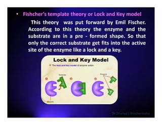 Enzymes | classification| Factors affecting enzyme activity | PDF