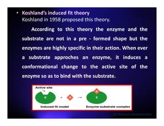 Enzymes | classification| Factors affecting enzyme activity | PDF