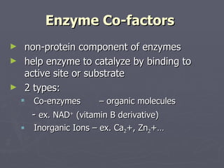 Enzymes | PPT