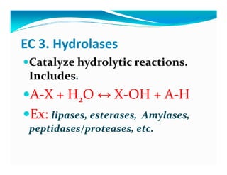 Enzymes | PDF
