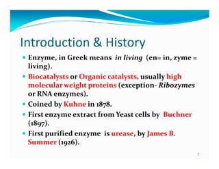 Enzymes | PDF