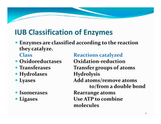Enzymes | PDF