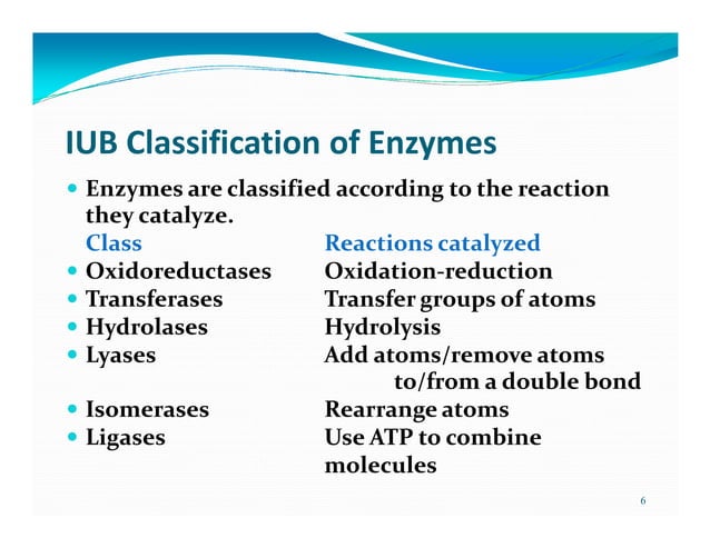 Enzymes | PDF