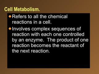 Enzymes | PPT