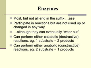 06 Enzymes | PPT